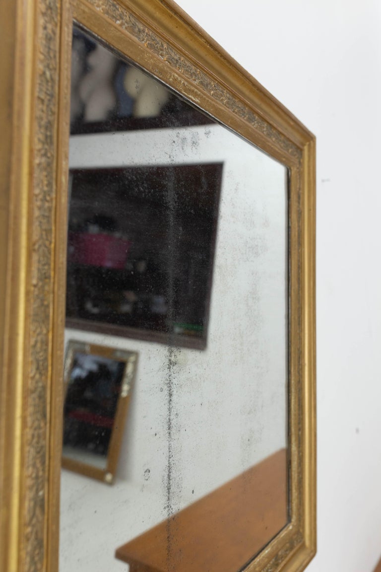 French Golden Frame Stucco Mirror Vegetal Patterns, Early 20th Century ...