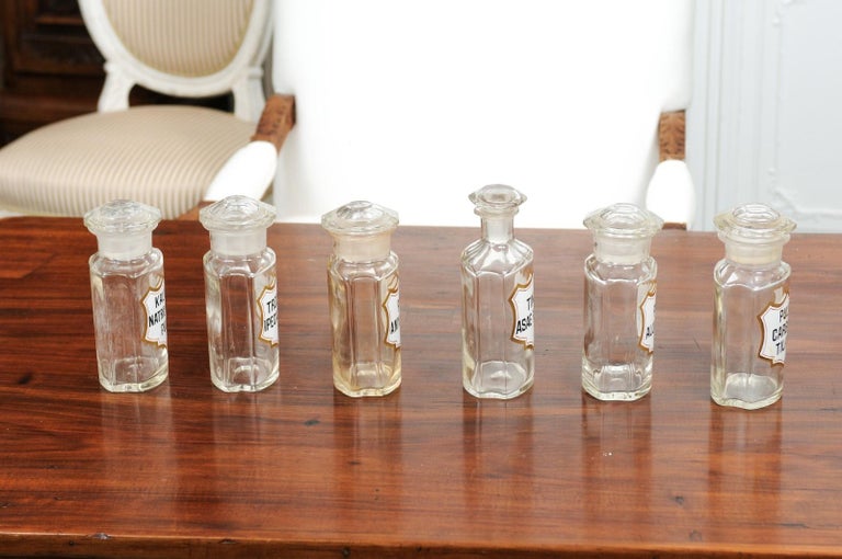 French Louis-Philippe Period 1840s Glass Apothecary Jars with Latin ...