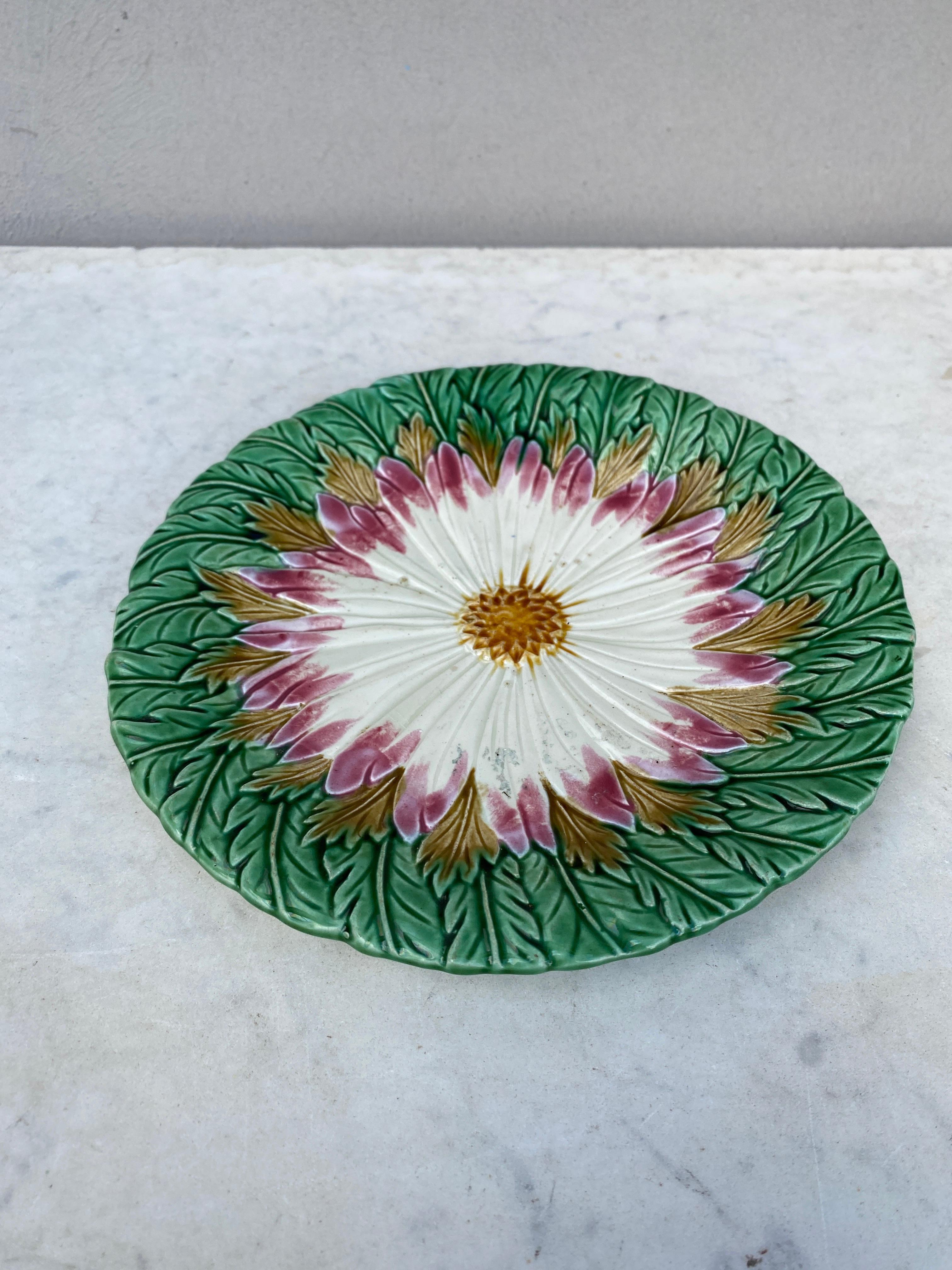 French Majolica Daisy Plate Orchies, circa 1890 For Sale at 1stDibs