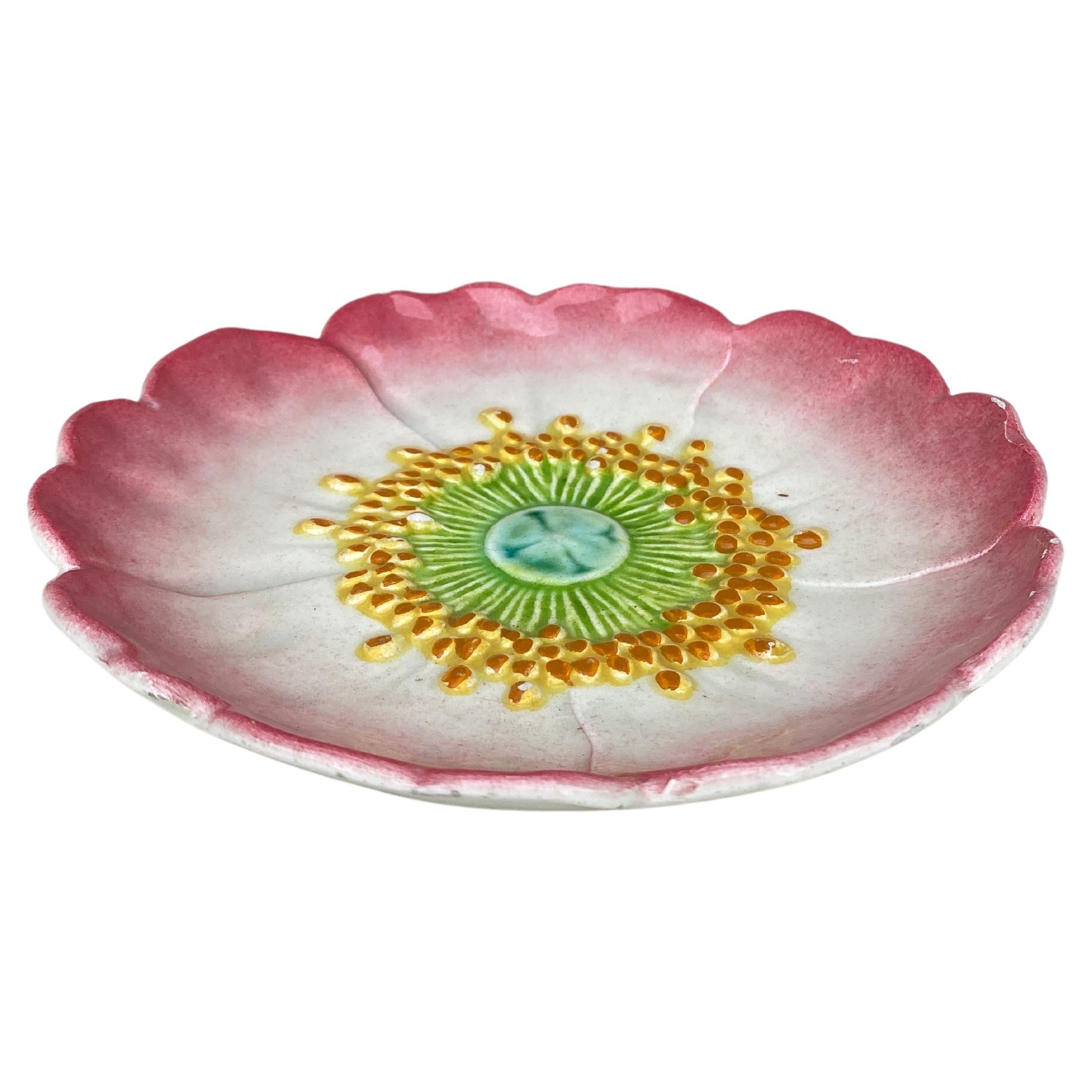 French Majolica Wild Rose Plate Jerome Massier Fils Circa 1900 For Sale ...