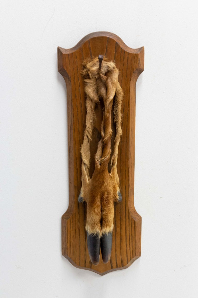 French Midcentury Hunting Trophy Deer Foot and Oak, circa 1960 For Sale ...
