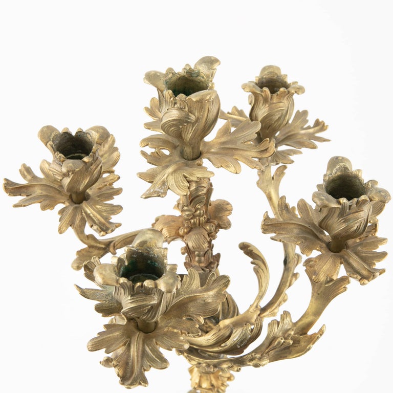French New Rococo Gilt Bronze Candelabra with 5 Arms For Sale at 1stDibs