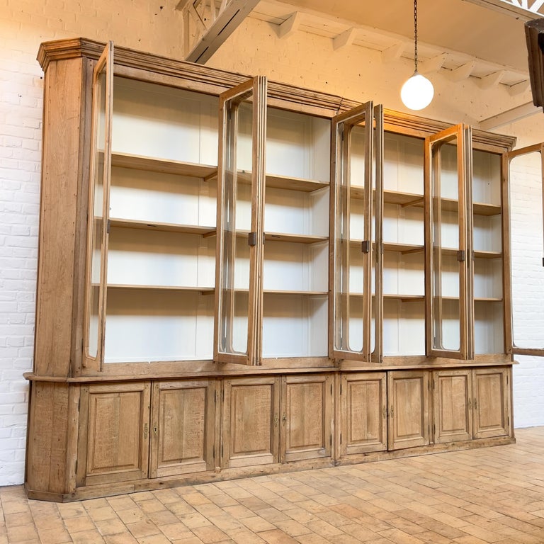 19th Monumental Oak French Bookcase at 1stDibs