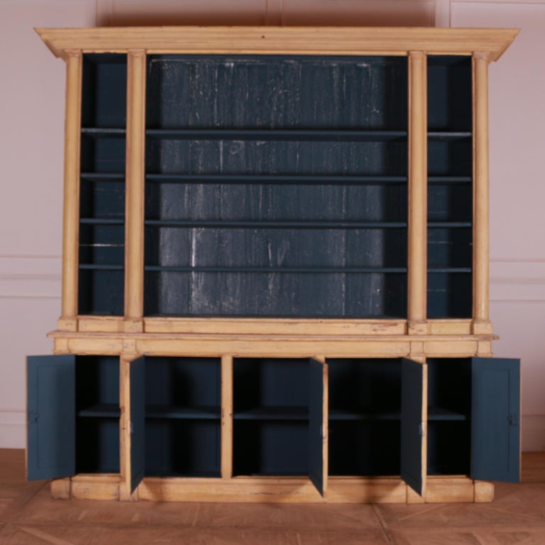 French Original Painted Bookcase For Sale at 1stDibs