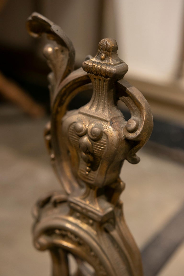 French Pair of Bronze Morels with Iron Feet For Sale at 1stDibs