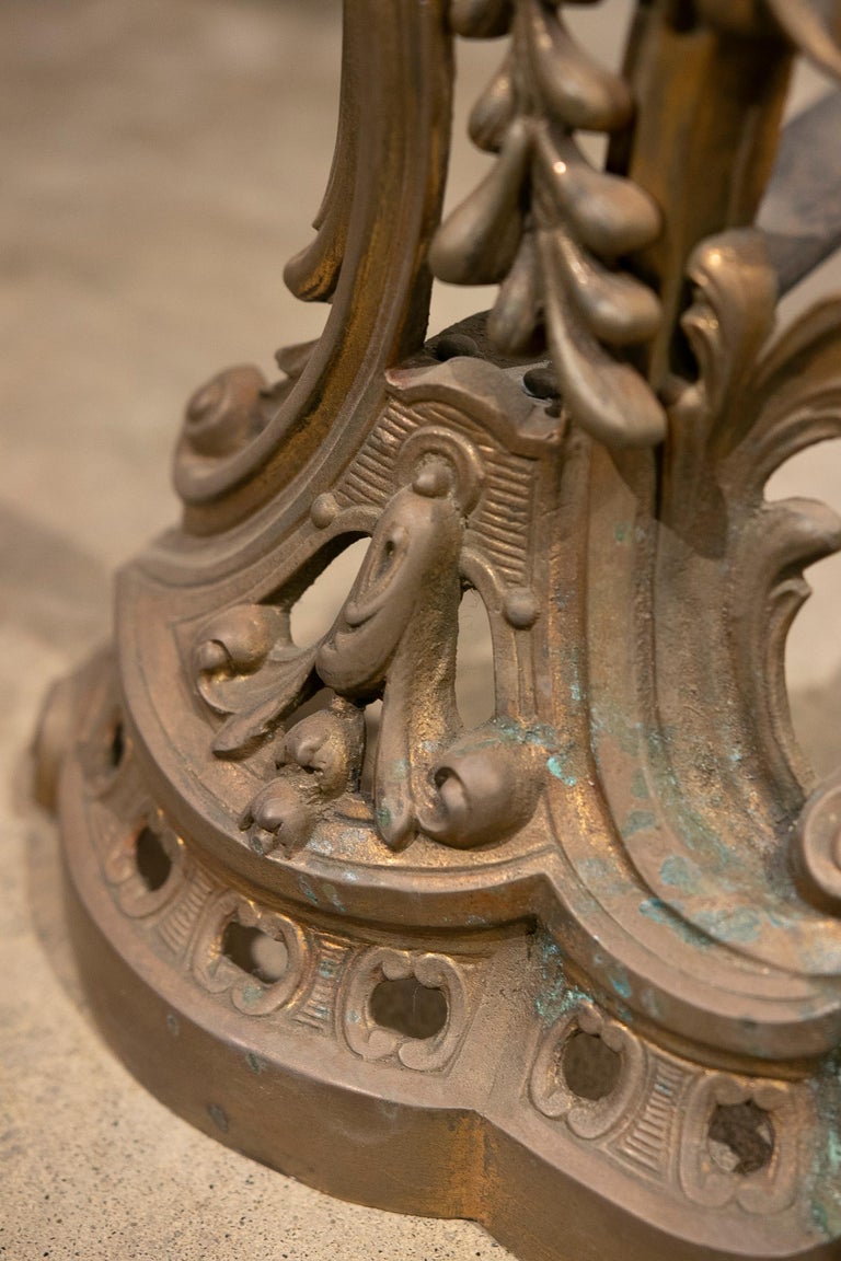 French Pair of Bronze Morels with Iron Feet For Sale at 1stDibs