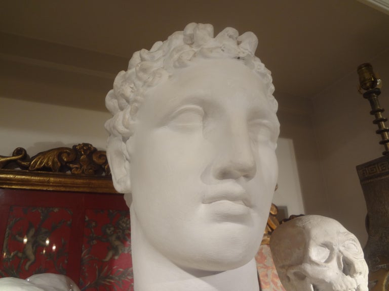 French Plaster Bust of a Classical Roman Male For Sale at 1stDibs