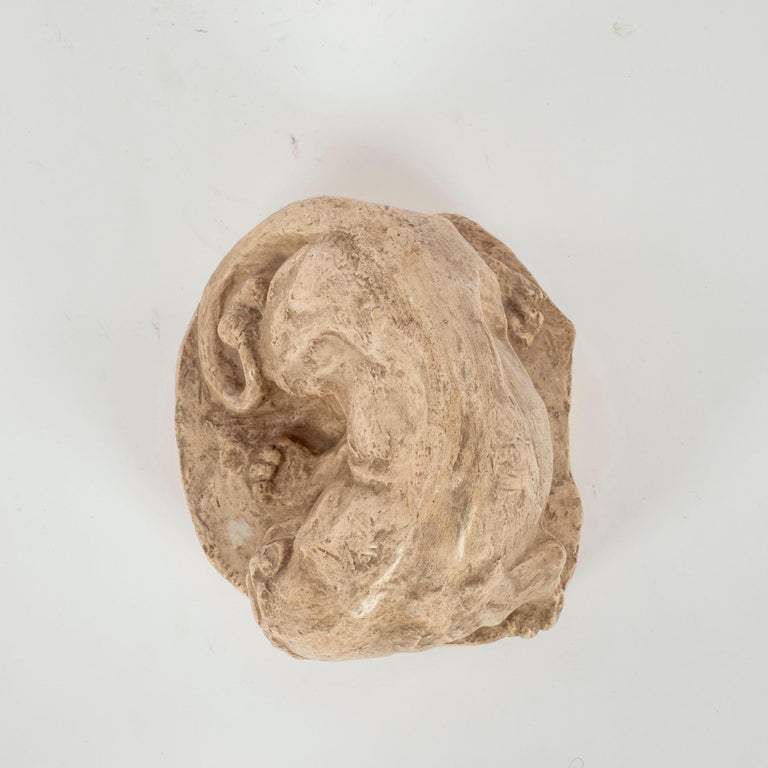 French Plaster Lion For Sale at 1stDibs