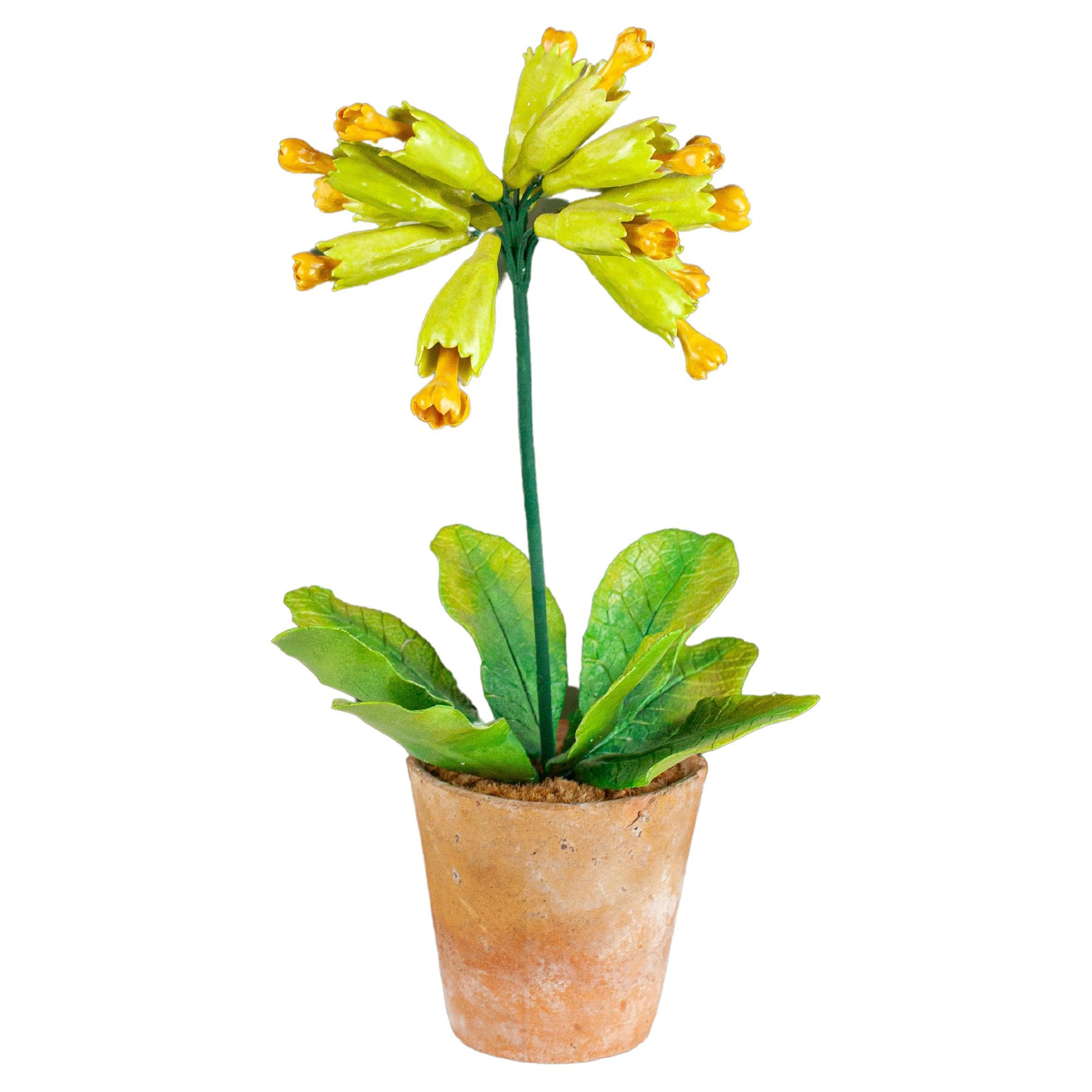 French Porcelain Primula For Sale at 1stDibs