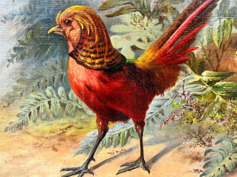 French School - Exotic Rare Pheasants in Natural Landscape 19th Century ...