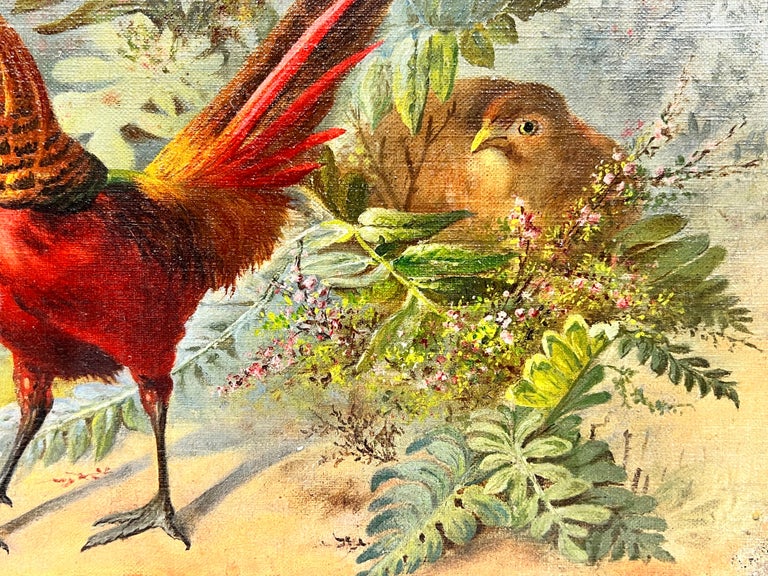 French School - Exotic Rare Pheasants in Natural Landscape 19th Century ...