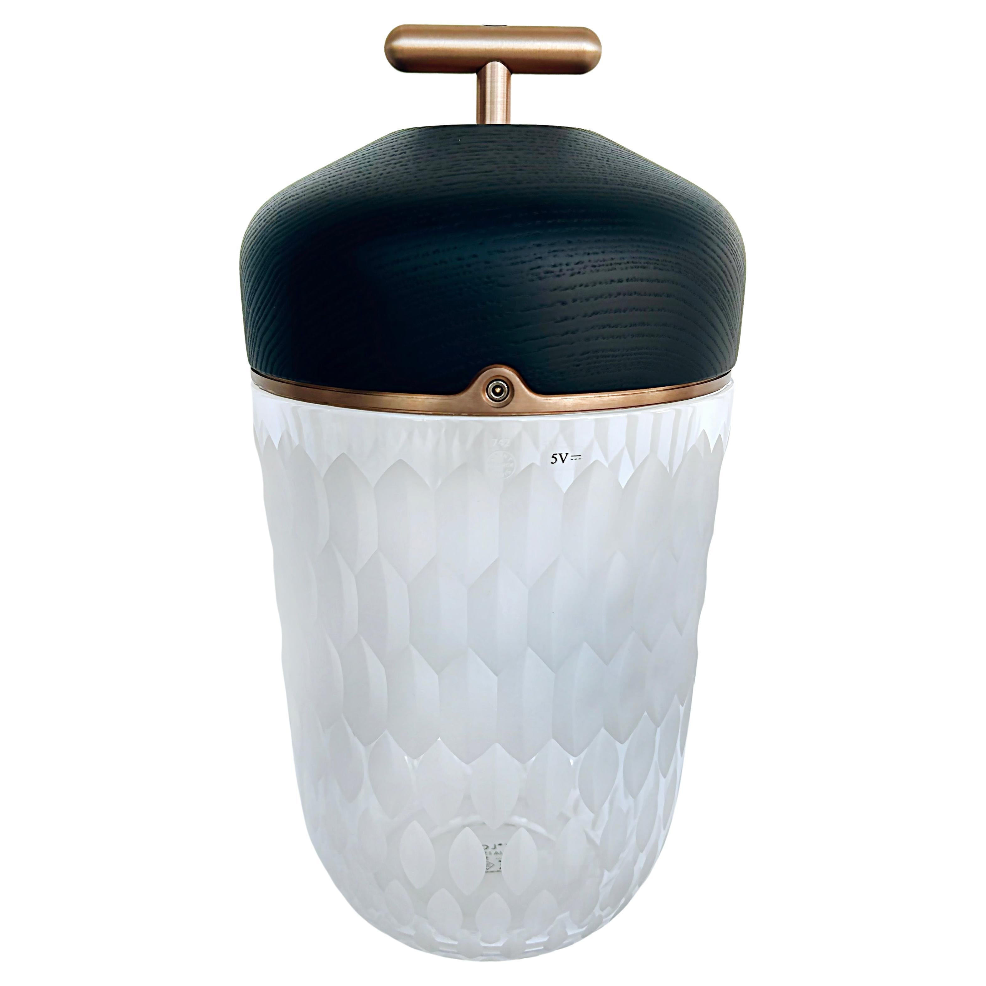 French St. Louis Crystal "Baladeuse Folia" Portable Lamp with Auto ...