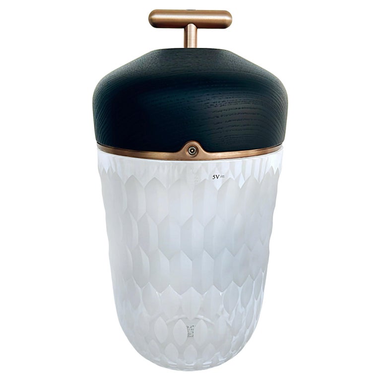 French St. Louis Crystal "Baladeuse Folia" Portable Lamp with Auto ...