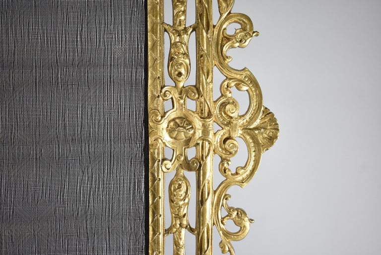 French Style Brass Fireplace Screen Lion Details Paw Feet at 1stDibs ...
