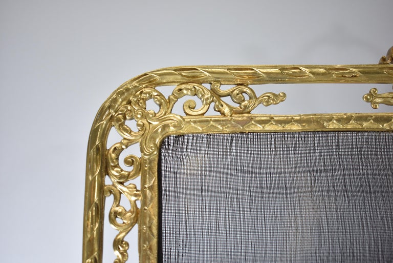 French Style Brass Fireplace Screen Lion Details Paw Feet at 1stDibs ...
