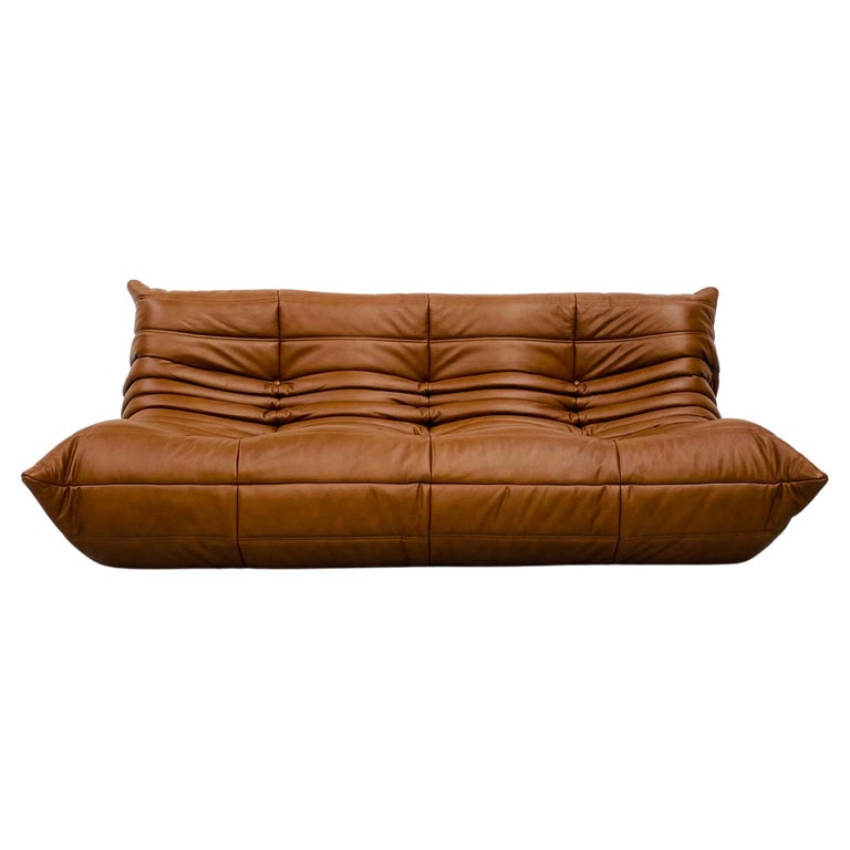 French Togo Sofa in Dark Cognac Leather by Michel Ducaroy for Ligne ...