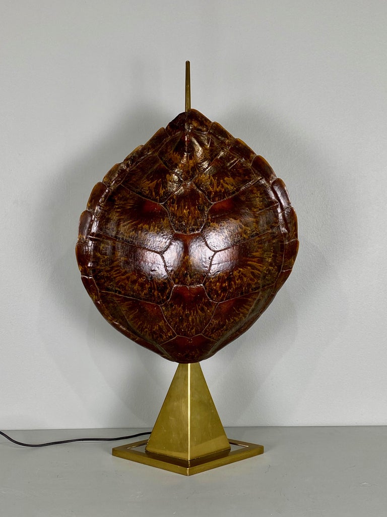 French Tortoise Shell and Brass Table Lamp, circa 1950 For Sale at 1stDibs