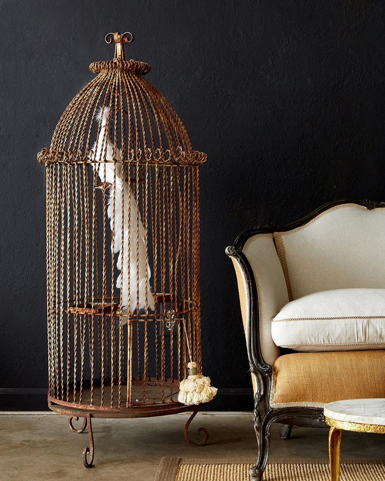French Twisted Wrought Iron Standing Bird Cage at 1stDibs