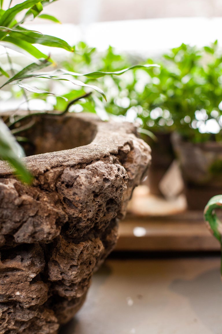 French Versailles Grotto Stone Planter For Sale at 1stDibs