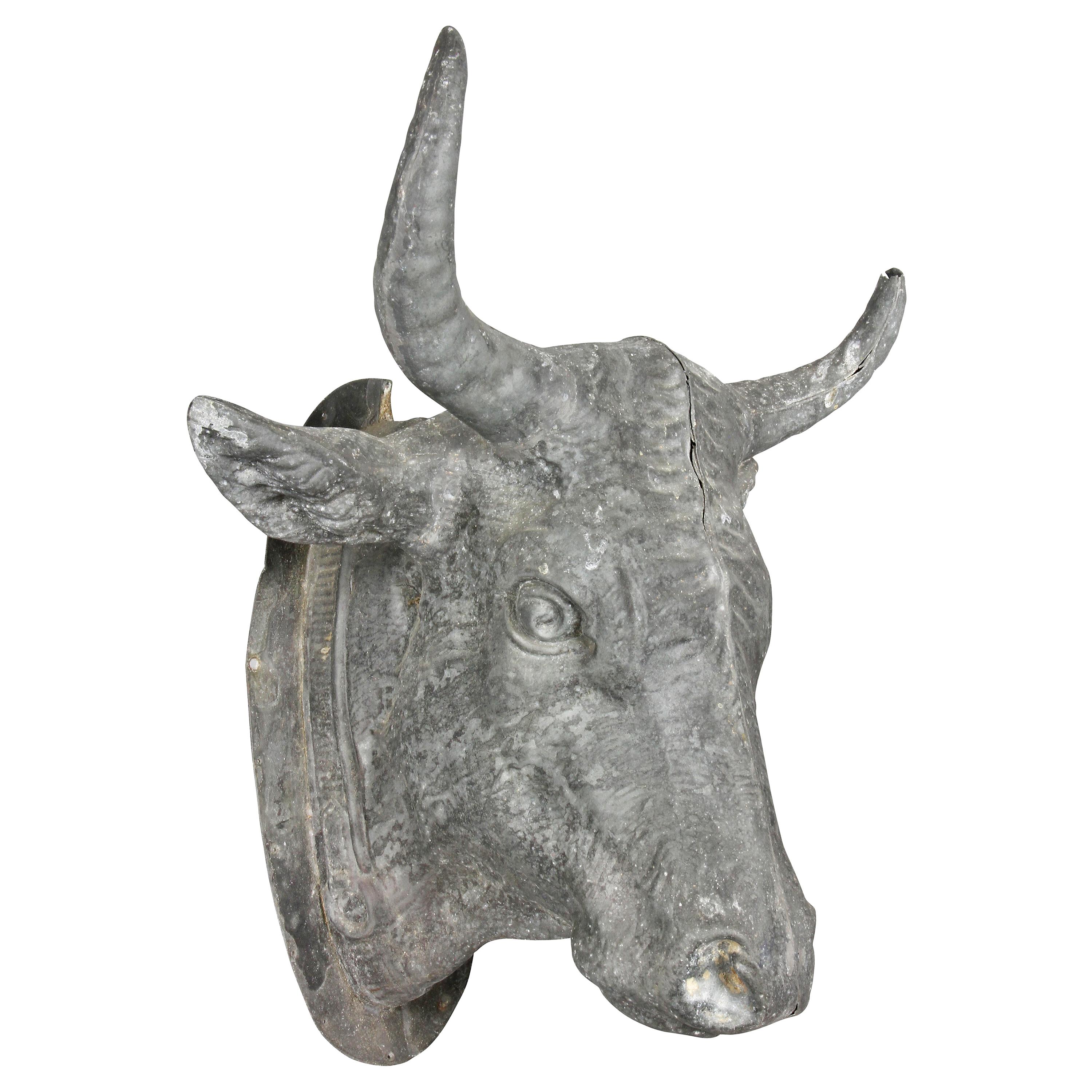 French Zinc Bulls Head Wall Mount at 1stDibs