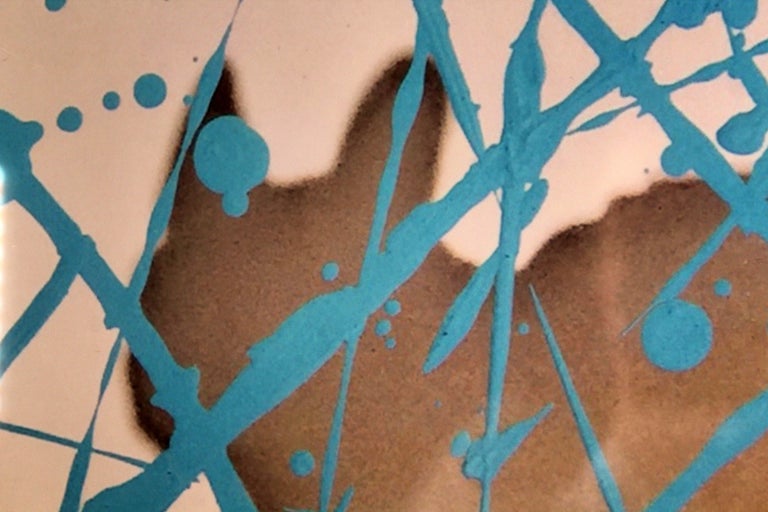 Frenchie Shadowbox Print Blue Splatter Paint Signed Krista Reay Berman ...