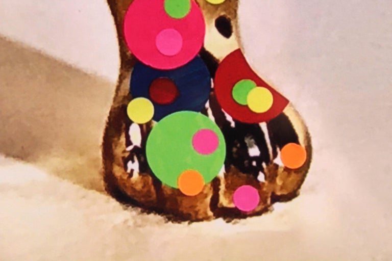 Frenchie Shadowbox Print Colorful Dots Signed Krista Reay Berman For ...