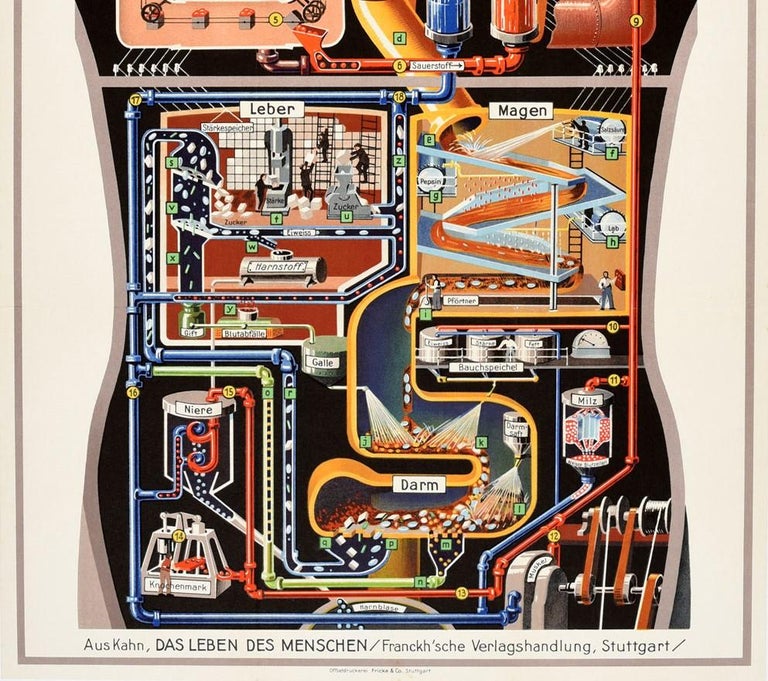 Fritz Kahn - Original Vintage Poster Der Mensch Als Industriepalast Man ...