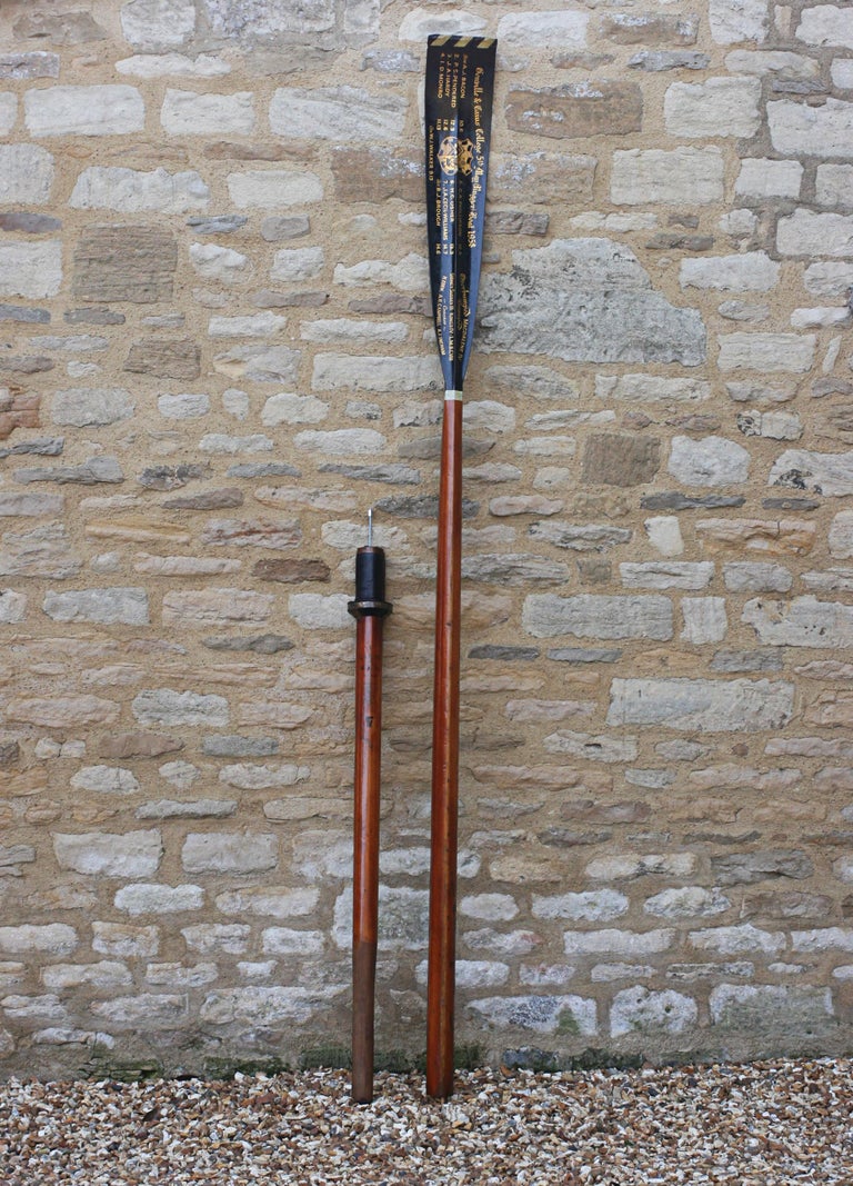 Full Length Rowing Oar, Cambridge University, Gonville and Caius ...