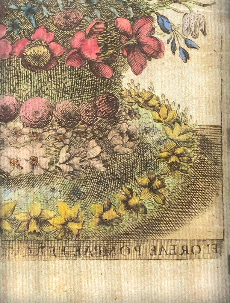 G. B. Ferrari 'b1584', Floral Bouquet, Quarto Engraving Hand Colour For ...