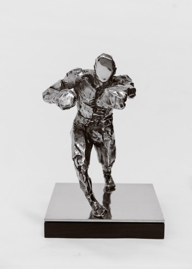 Gail Folwell - The Fight Within 2/9 (Stainless Steel) For Sale at 1stDibs