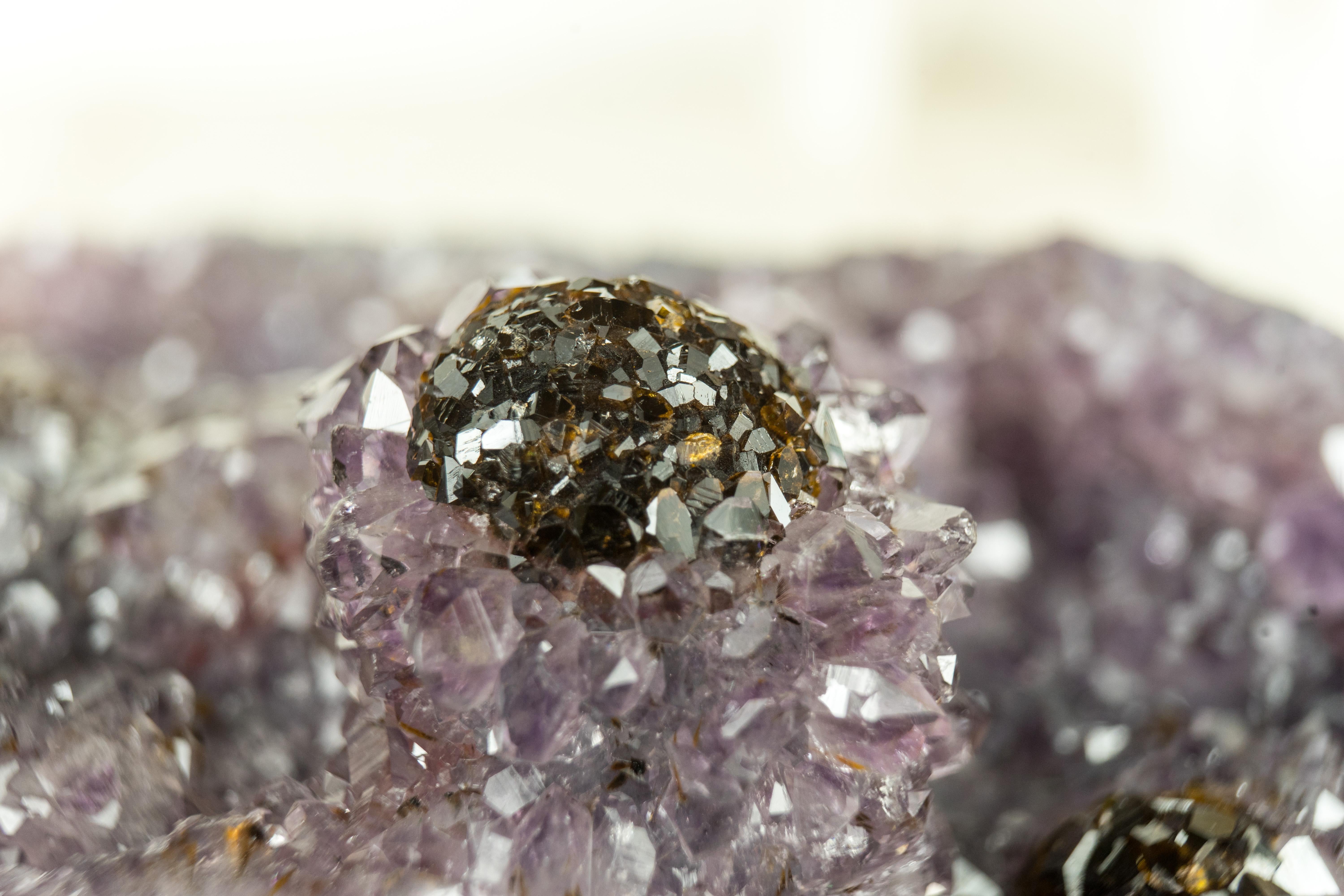 Gallery-Grade Agate Geode with Rare Goethite (AKA Cacoxenite) Flower ...