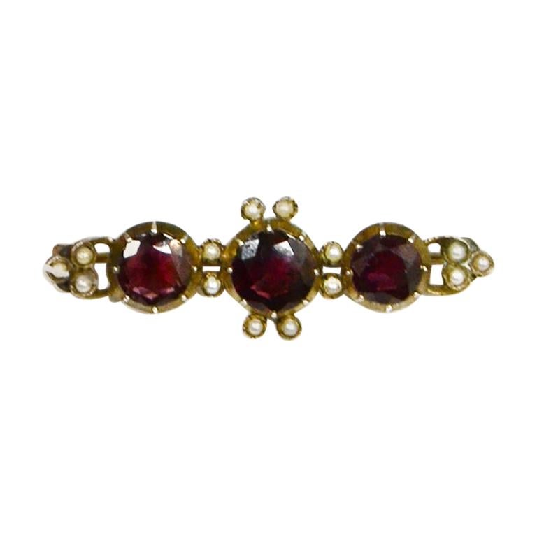 Garnet and Seed Pearl Brooch/Pin For Sale at 1stDibs