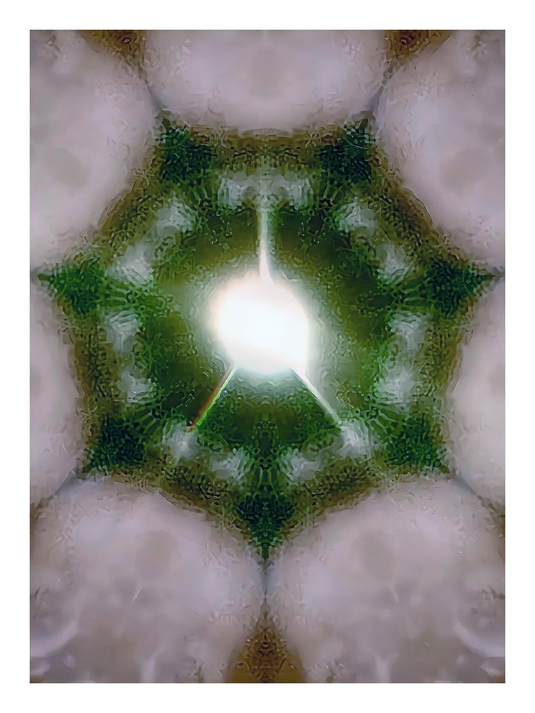 Gary Cruz - Dilation #14, 2022, digitally made print, edition of 3 ...