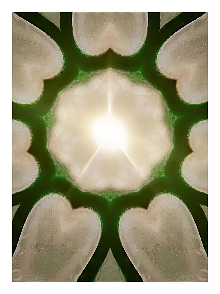 Gary Cruz - Dilation #2, 2022, digitally made print, edition of 3 ...