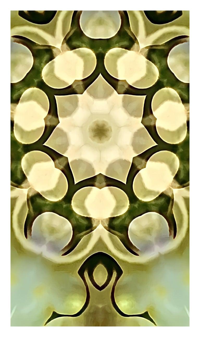 Gary Cruz - Iris Eye #11, 2022, digitally made print, edition of 3 ...