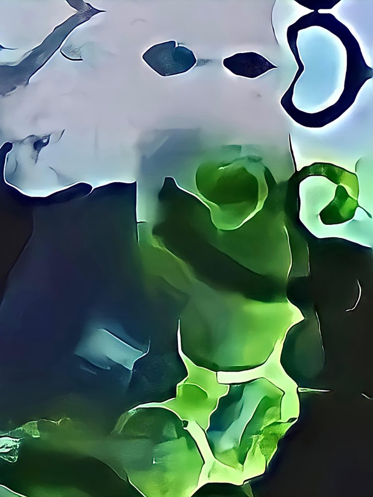 Gary Cruz - On the Periphery #1, 2022, digitally made print, edition of ...