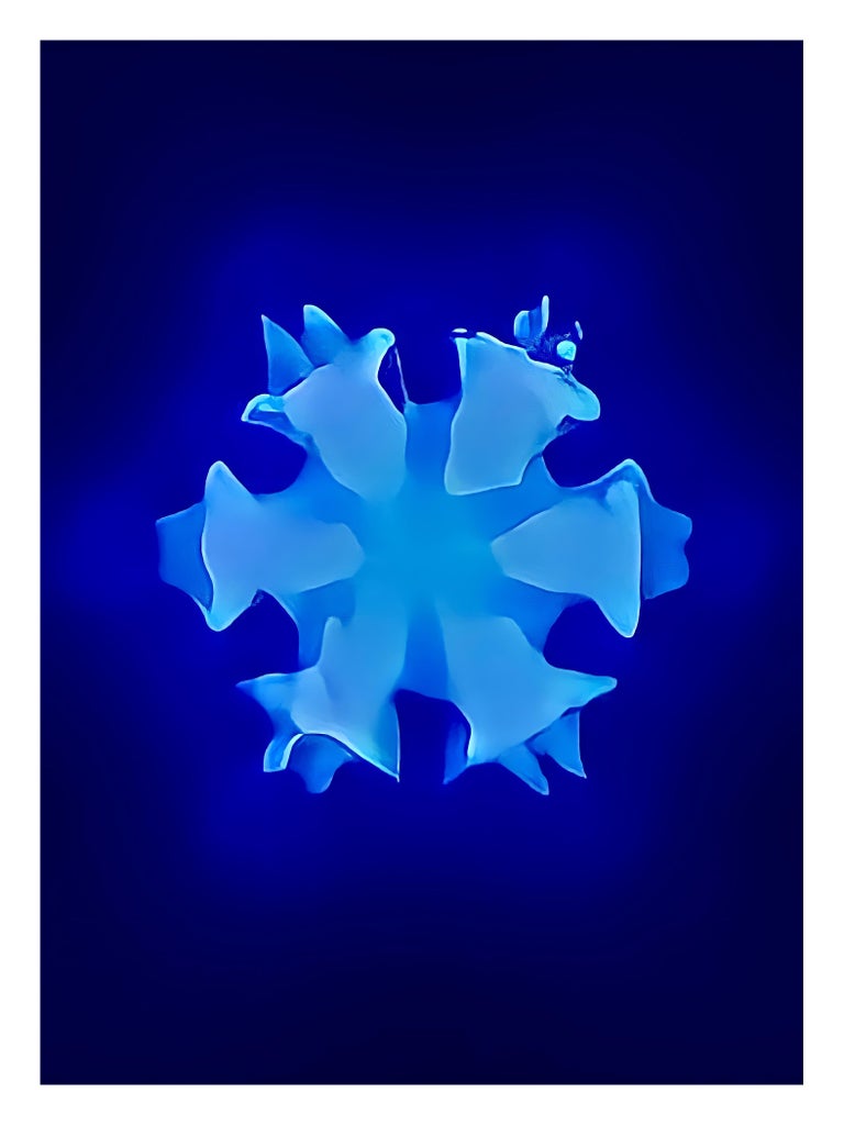 Gary Cruz - Periphery Blue, digitally made print, edition of 10, signed ...