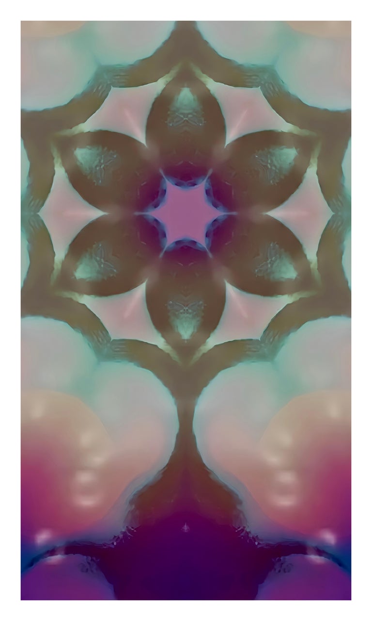 Gary Cruz - Pupil #10, 2022, digitally made print, edition of 3, signed ...