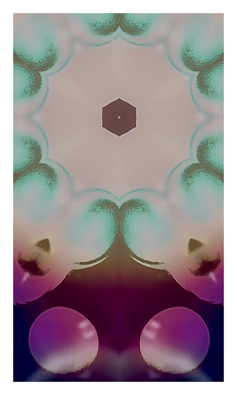 Gary Cruz - Pupil #11, 2022, digitally made print, edition of 3, signed ...