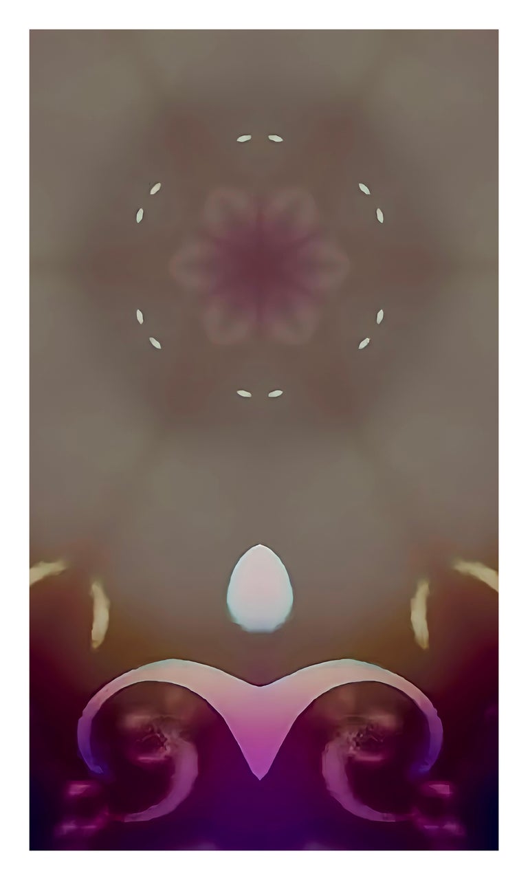 Gary Cruz - Pupil #5, 2022, digitally made print, edition of 3, signed ...