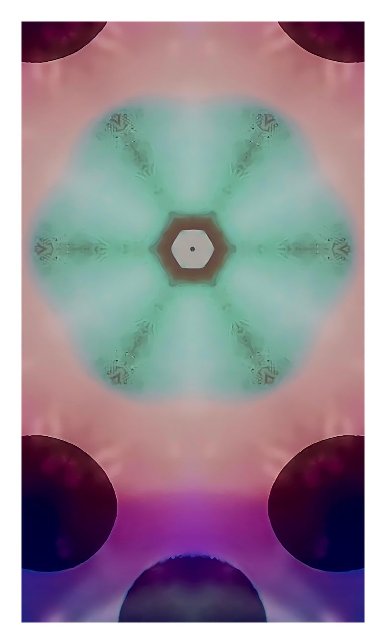 Gary Cruz - Pupil #9, 2022, digitally made print, edition of 3, signed ...