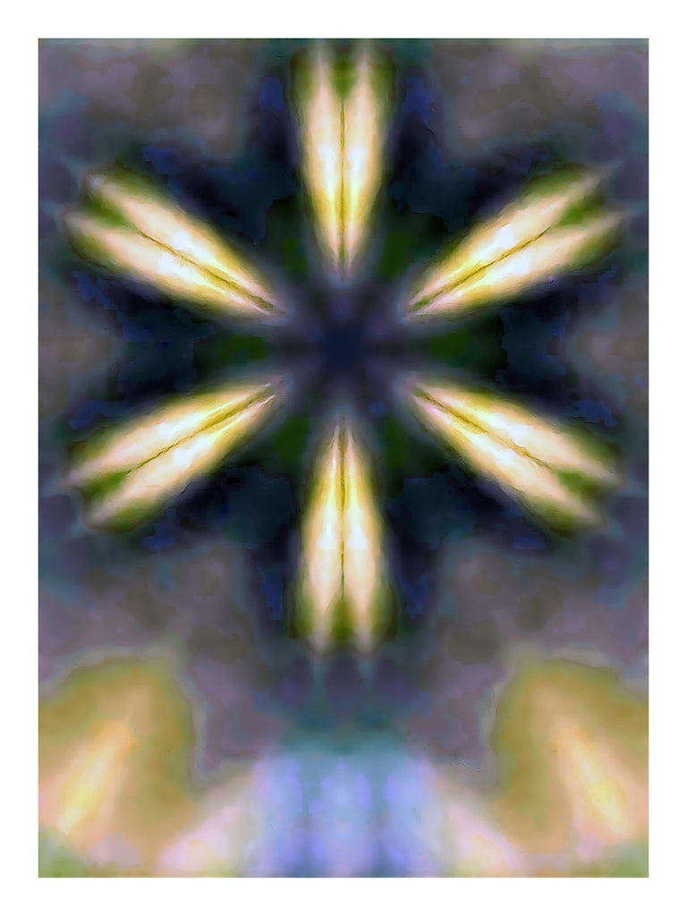 Gary Cruz - Retina #10, 2022, digitally made print, edition of 3 ...