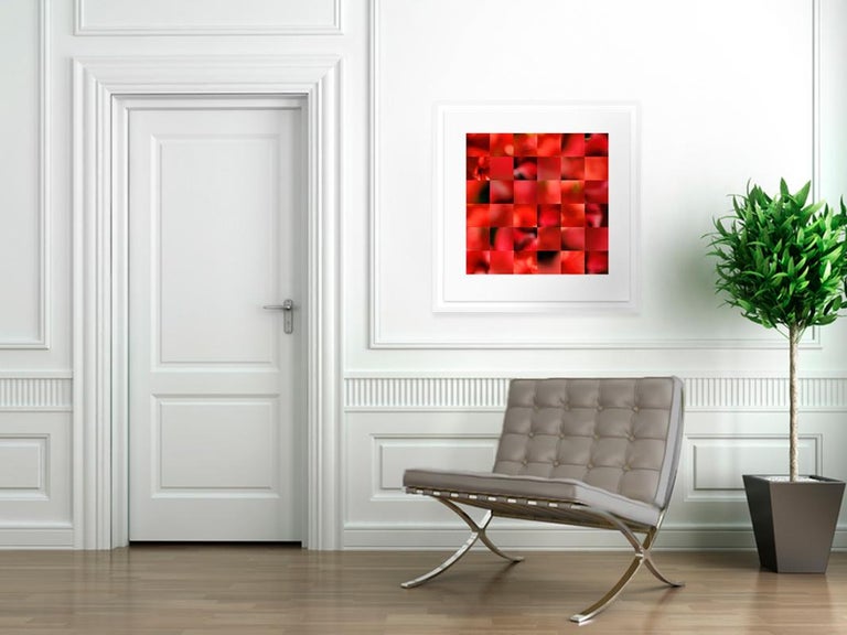 Gary Mankus - 36 Hibiscuses For Sale at 1stDibs