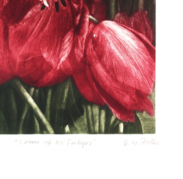 Gatja Helgart Rothe - Some of 48 Tulips For Sale at 1stDibs