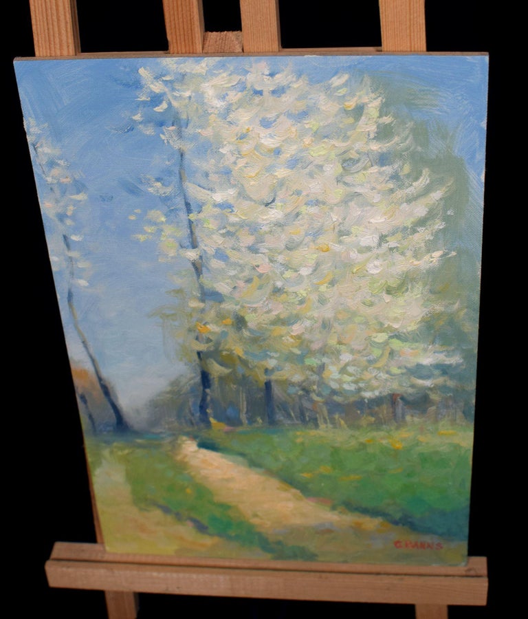 Gav Banns - Impressionism Tree Spring Blossom Early Morning, Painting ...