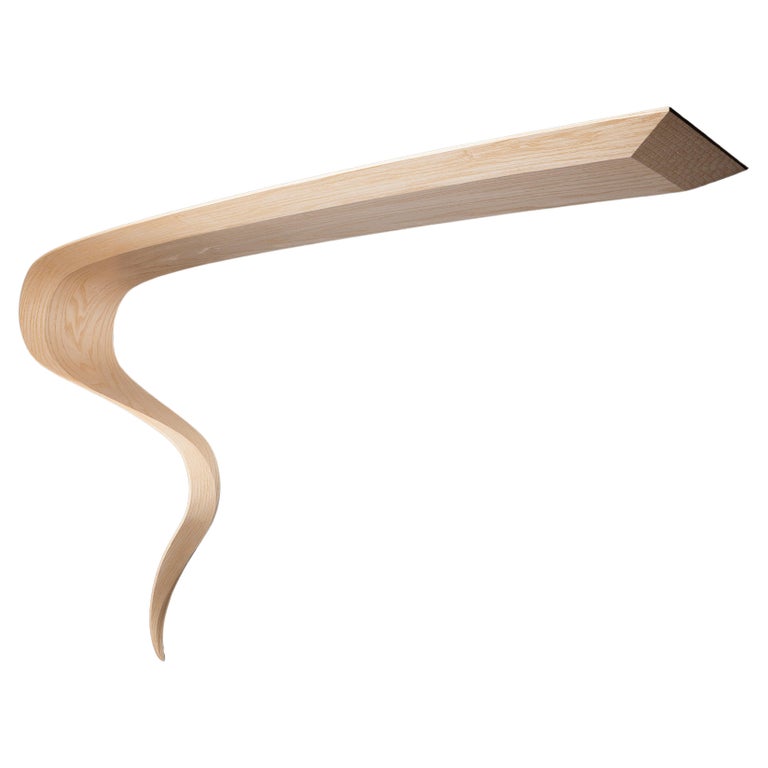 Genie Shelf by David Tragen at 1stDibs