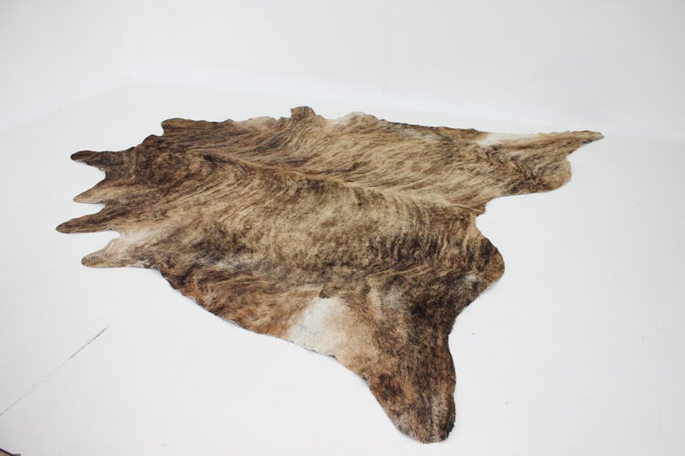 Genuine Brazilian Brindle Cowhide For Sale at 1stDibs