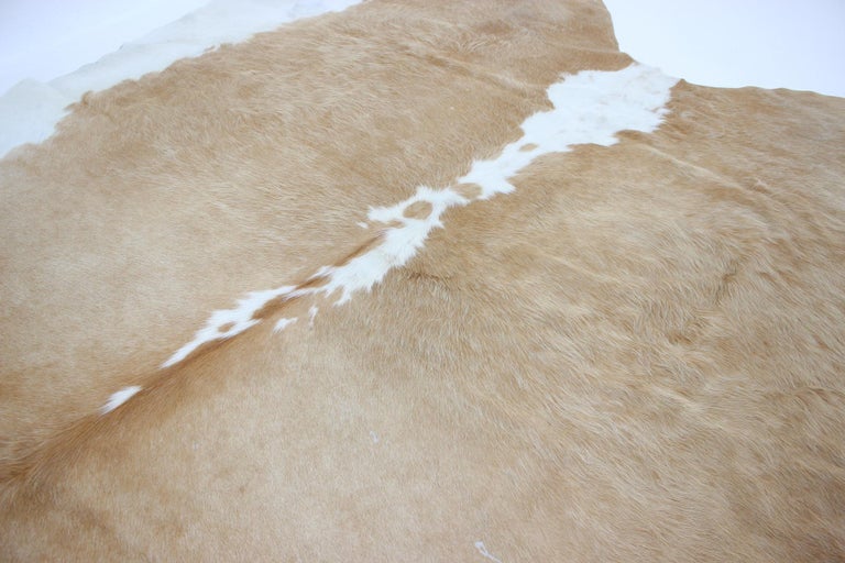 Genuine Brazilian Light Brown and White Cowhide For Sale at 1stDibs