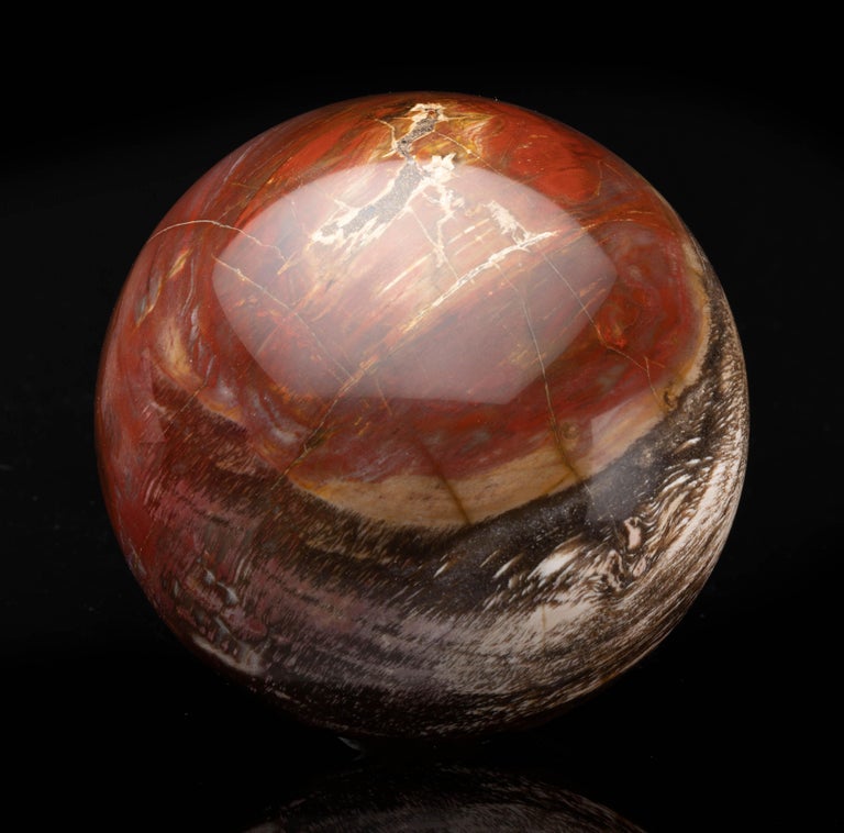 Genuine Hand-Carved Petrified Wood Sphere from Arizona // 3.20 Lb For ...