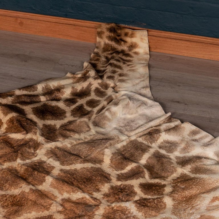 Genuine Large African Giraffe Rug at 1stDibs